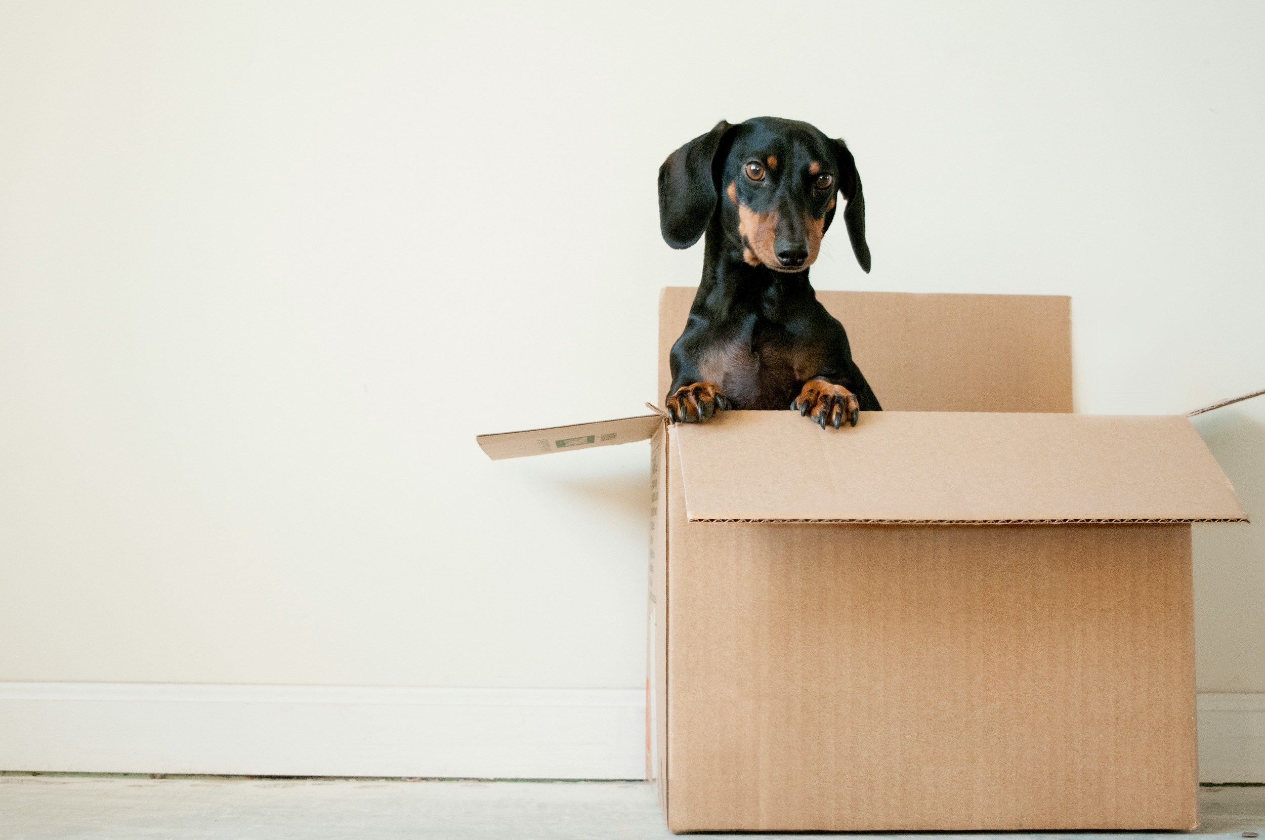 What To Pack First When Moving: Tips From the Experts - Red Rover ...